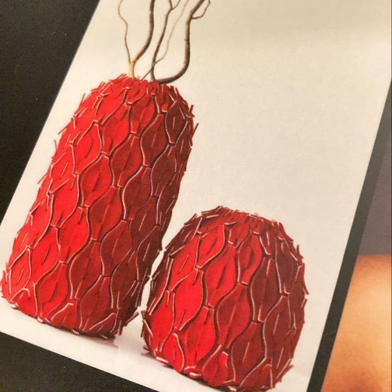 500 Felt Objects by Julie Hale, Nathalie Mornu