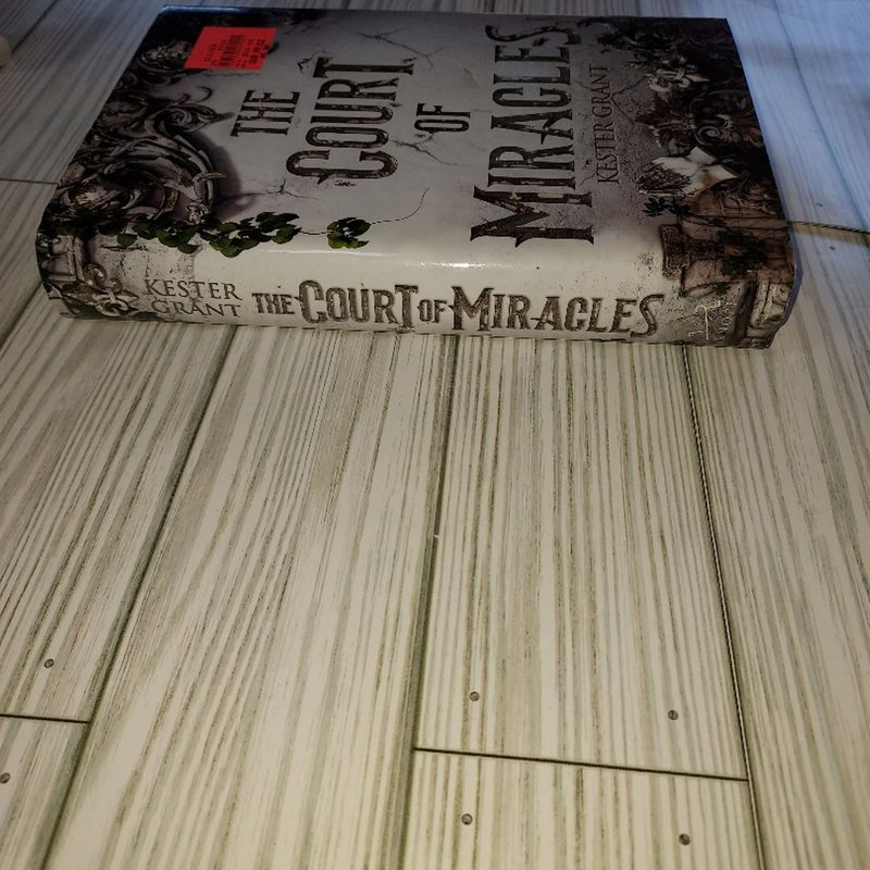 The Court of Miracles by Kester Grant