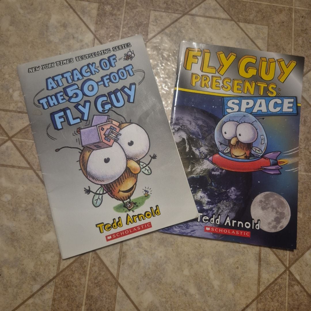 Lot of 2 Fly Guy books by Tedd Arnold, Paperback | Pangobooks