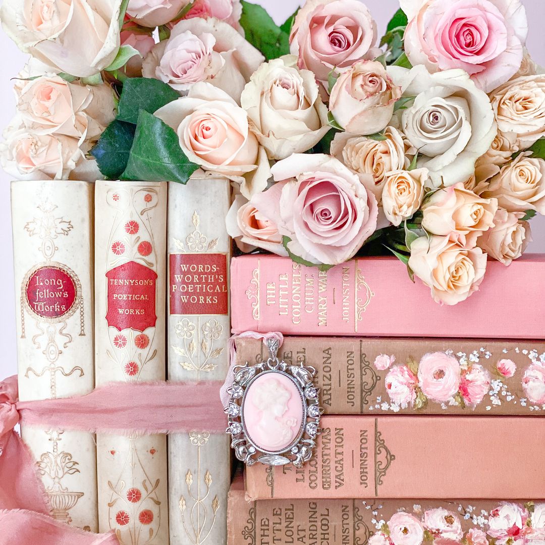 Blush & Bashful Book Boutique's Bookstore | Pango Books