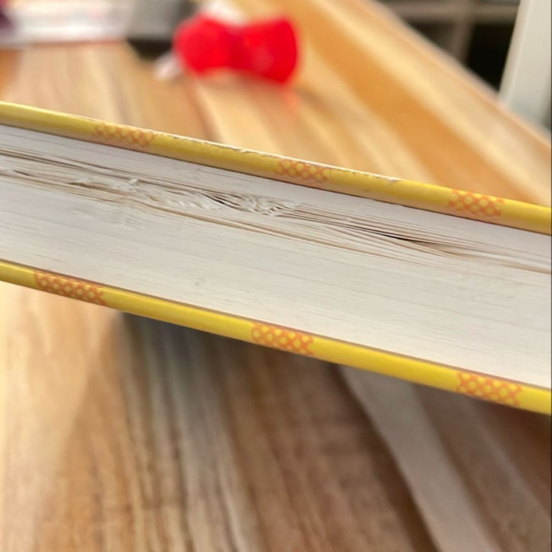 Maximilian and the Lucha Libre Club by Xavier Garza