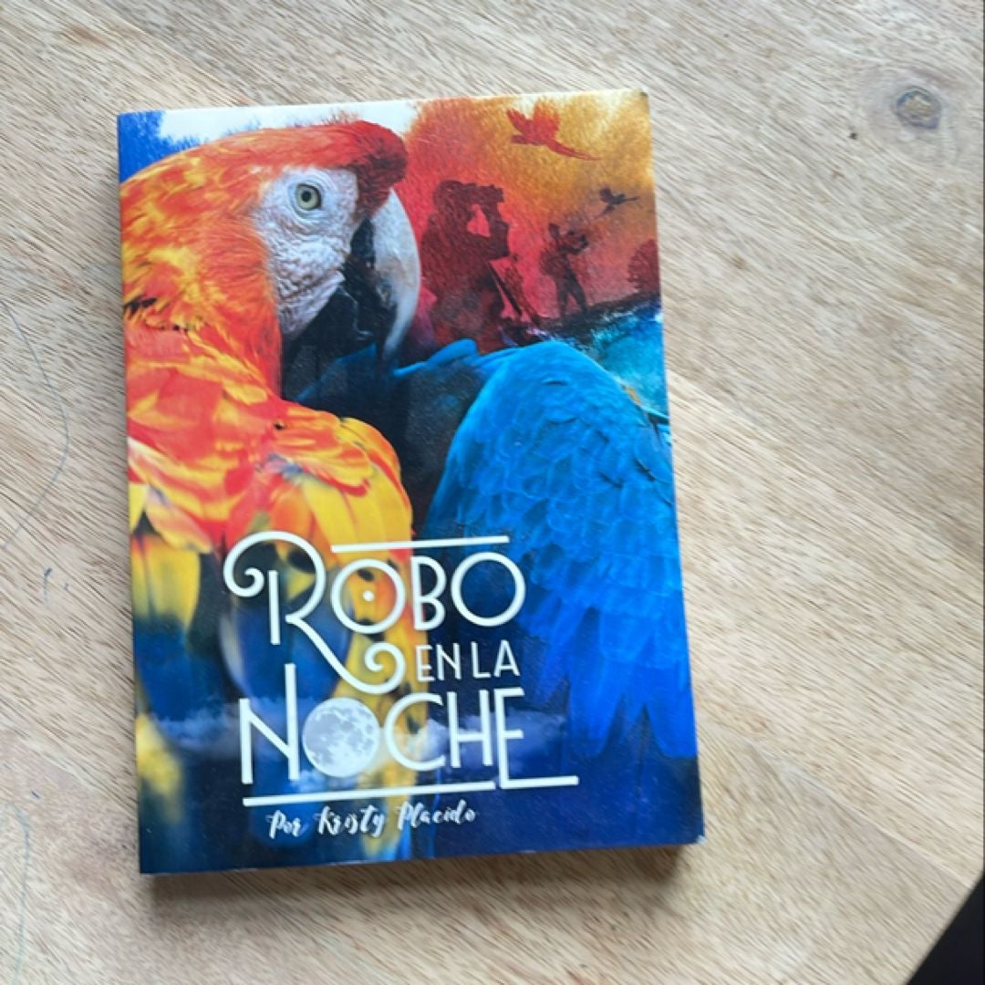 Robo en la Noche by Kristy Placido