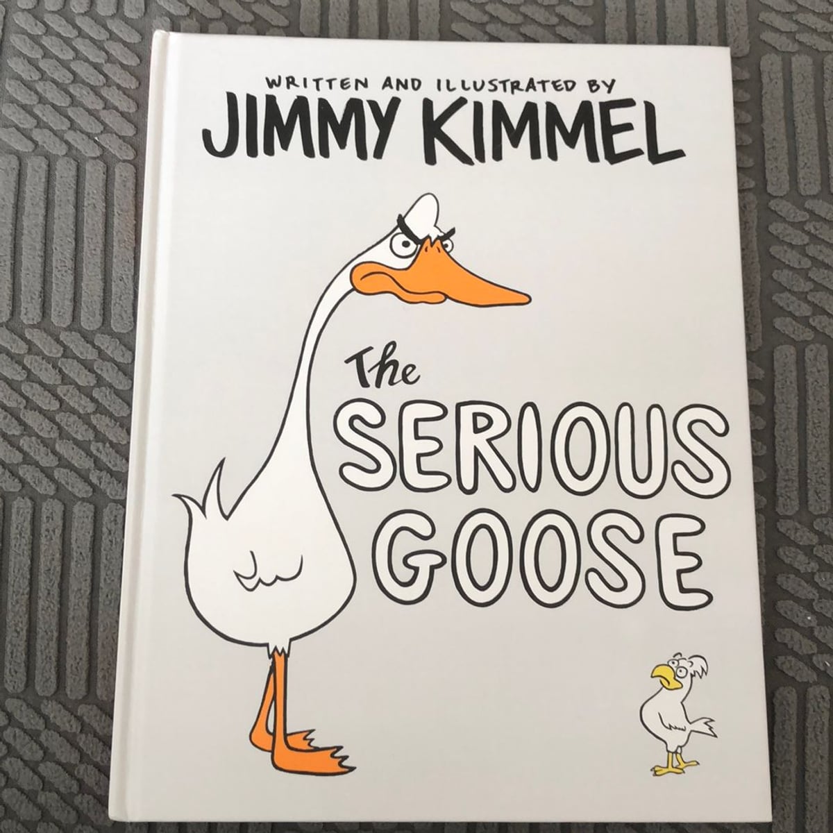 The Serious Goose by Jimmy Kimmel