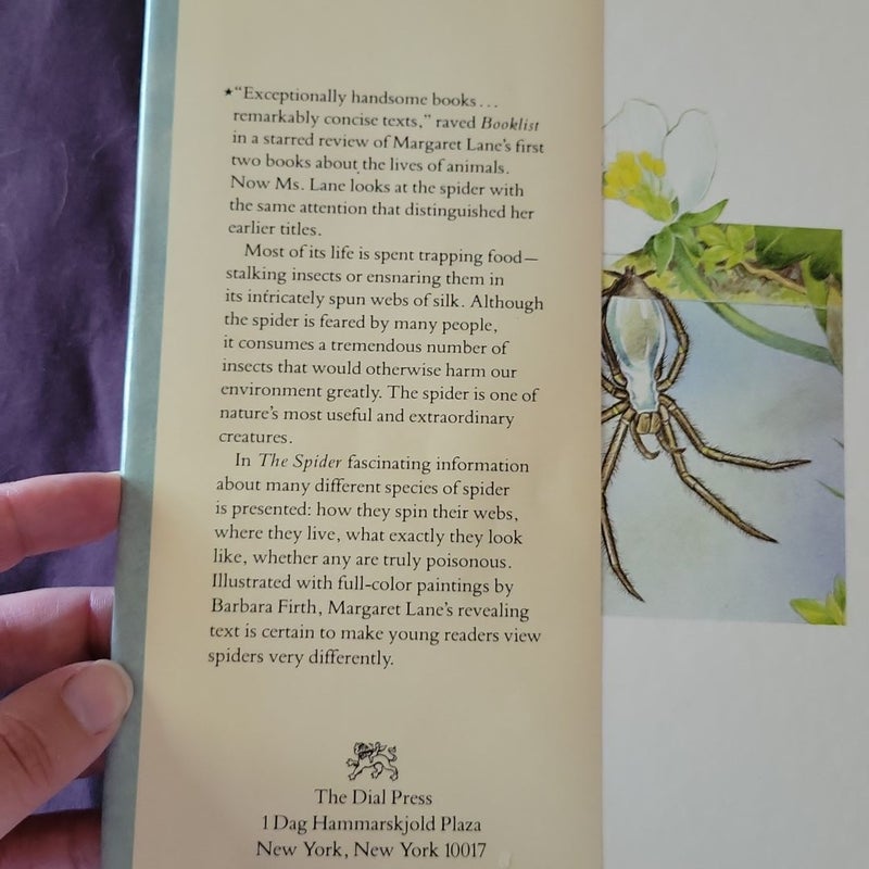 The Spider by Margaret Lane, Hardcover | Pangobooks