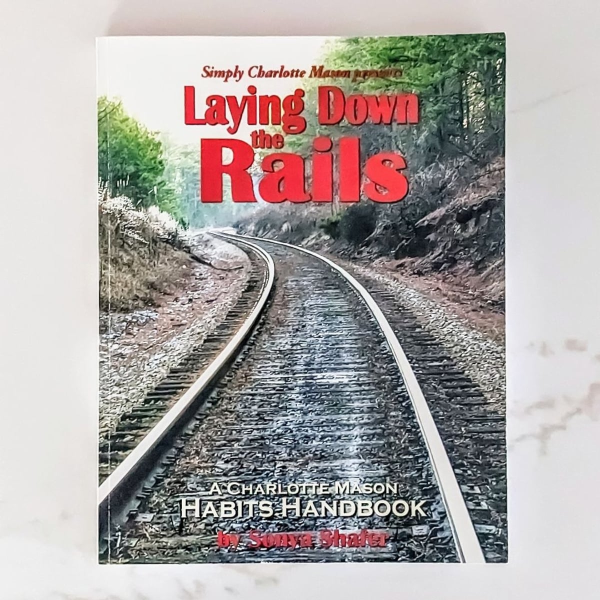 Laying down the Rails by Sonya Shafer
