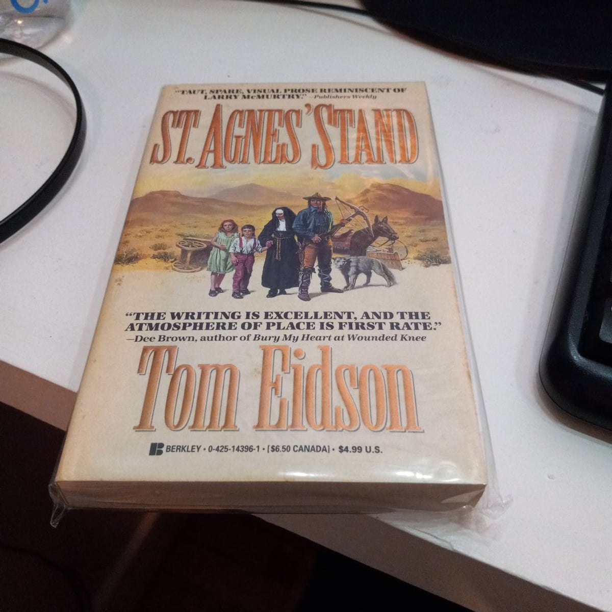 St. Agnes' Stand by Tom Eidson, Paperback | Pangobooks