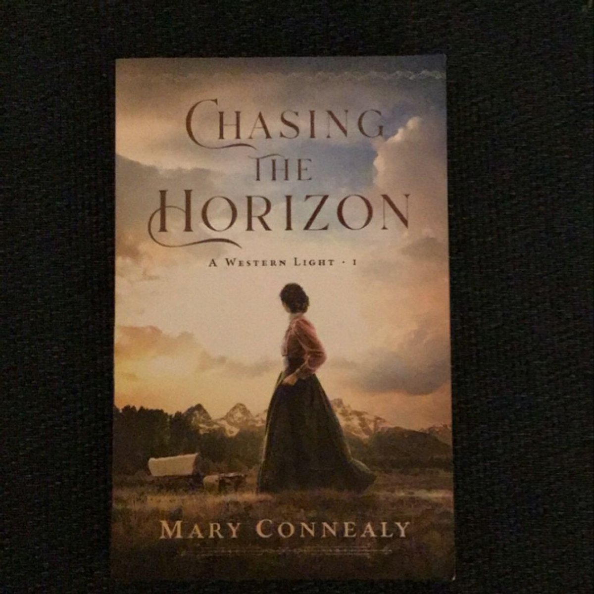Chasing the Horizon by Mary Connealy
