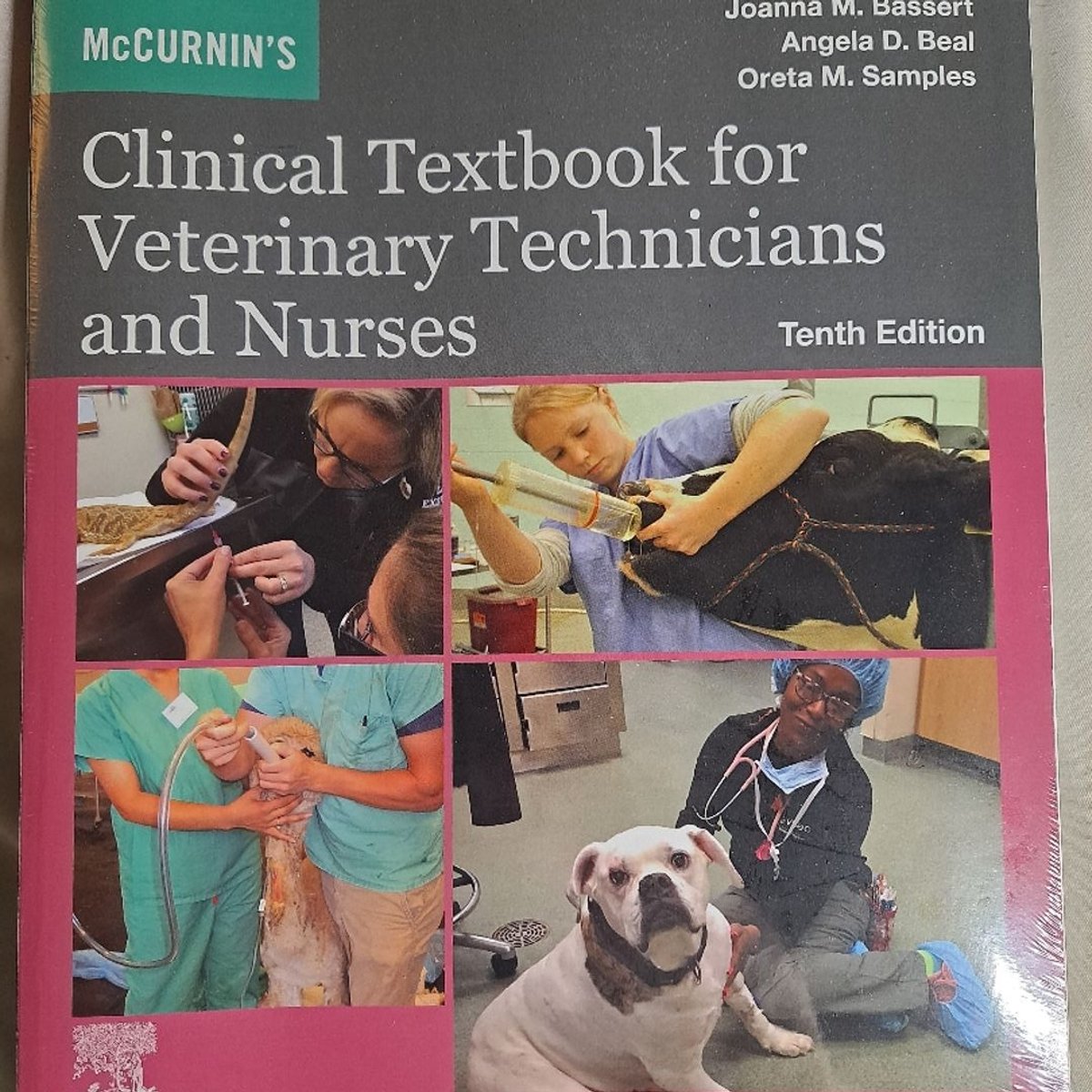 Workbook for Mccurnin's Clinical Textbook for Veterinary Technicians ...