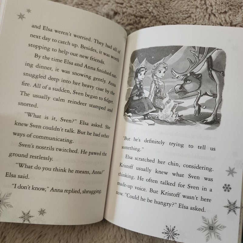 Anna and Elsa #6: the Arendelle Cup (Disney Frozen) by Erica David