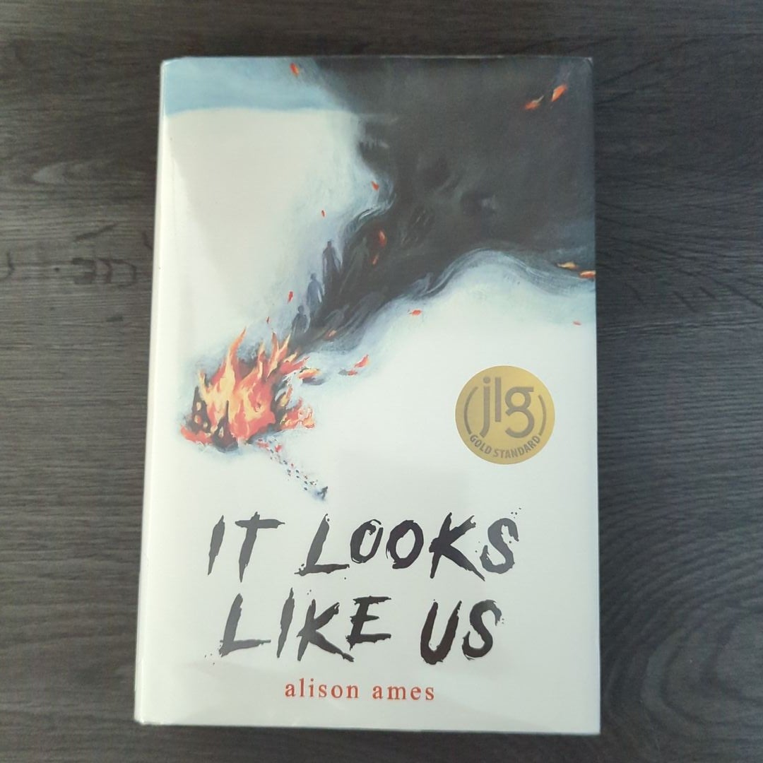 It Looks Like Us by Alison Ames, Hardcover | Pangobooks