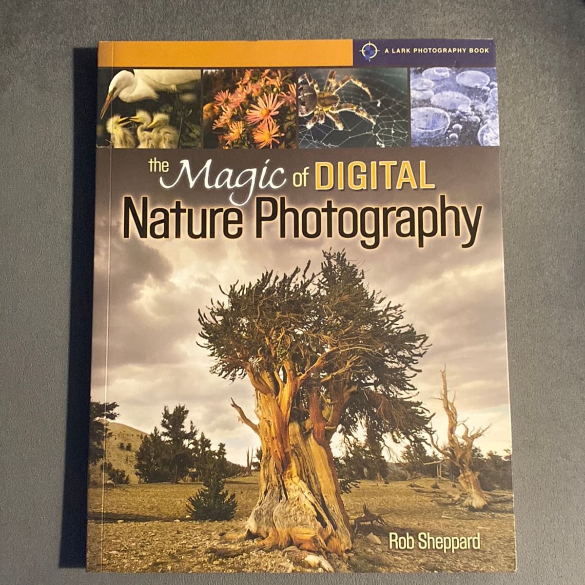 The Magic of Digital Nature Photography by Rob Sheppard
