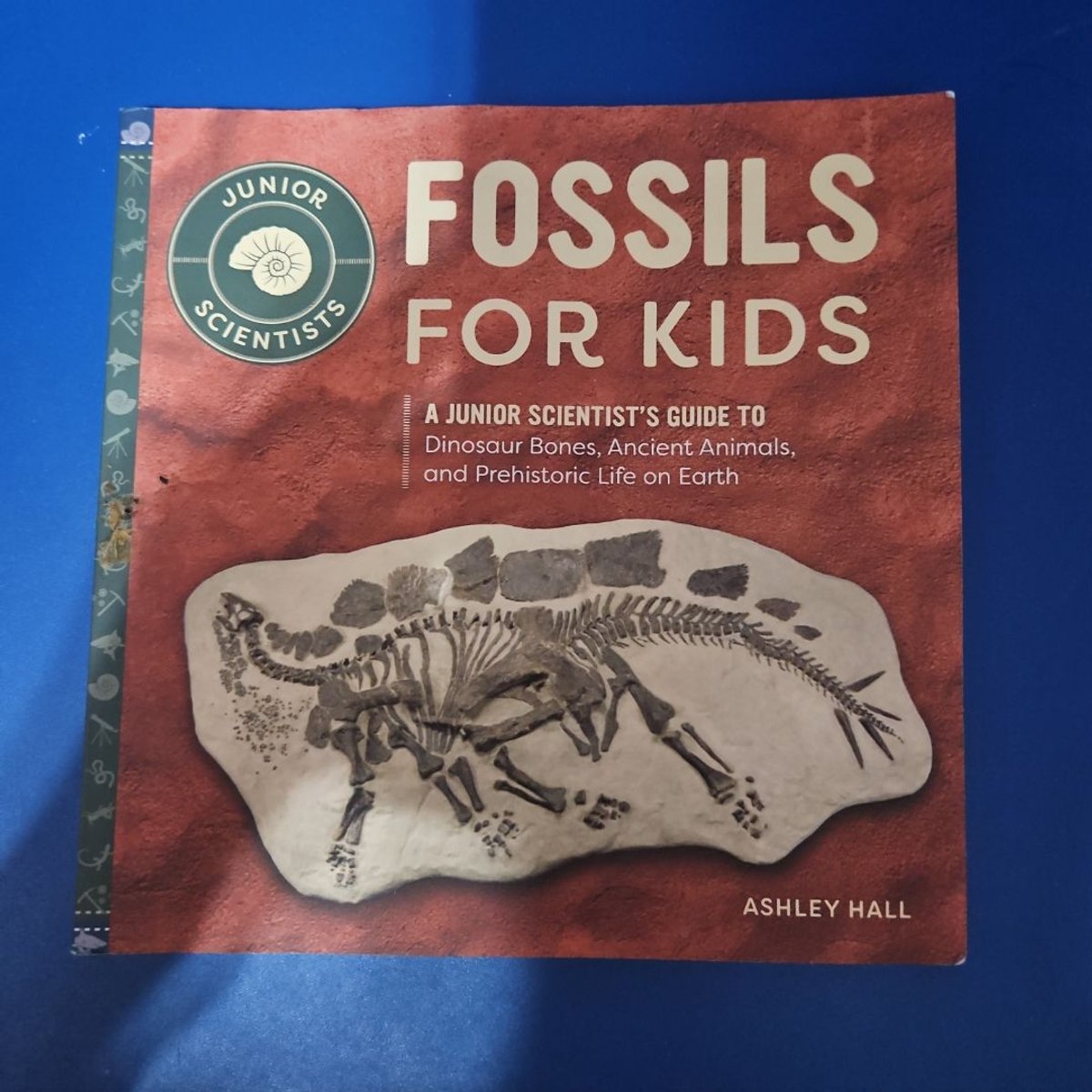 Fossils for Kids by Ashley Hall