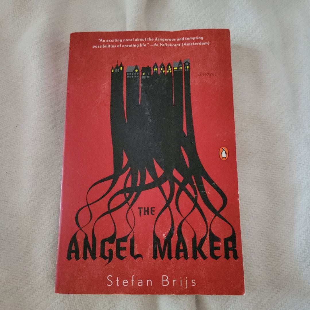 The Angel Maker by Stefan Brijs, Hester Velmans