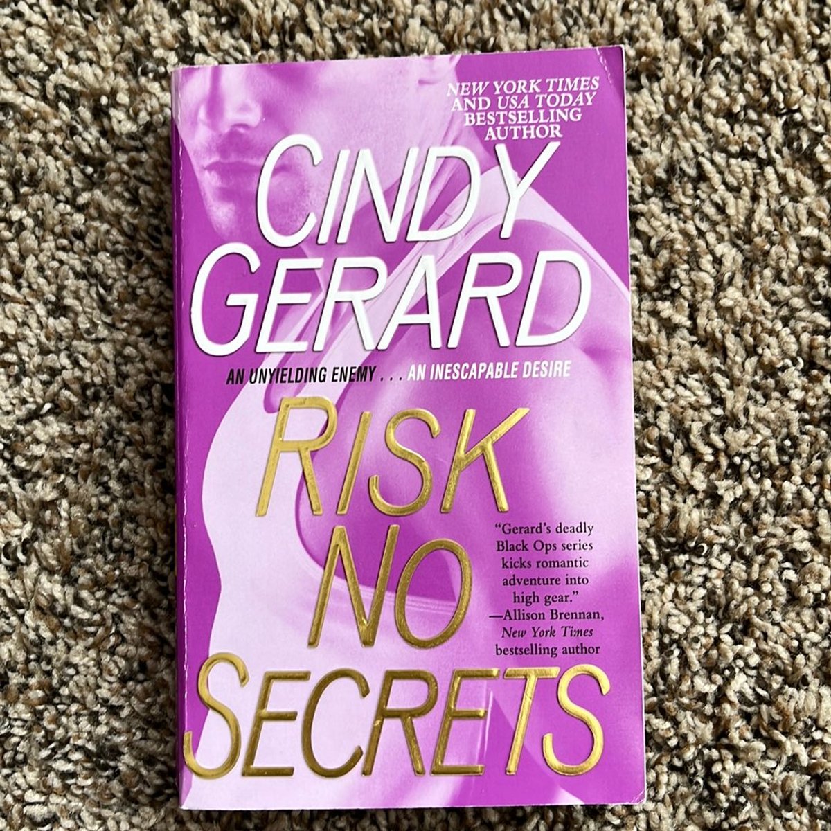 Risk No Secrets by Cindy Gerard