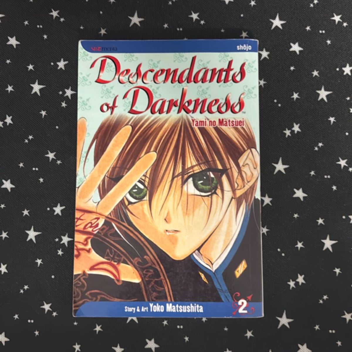 Descendants of Darkness, Vol. 2 by Yoko Matsushita