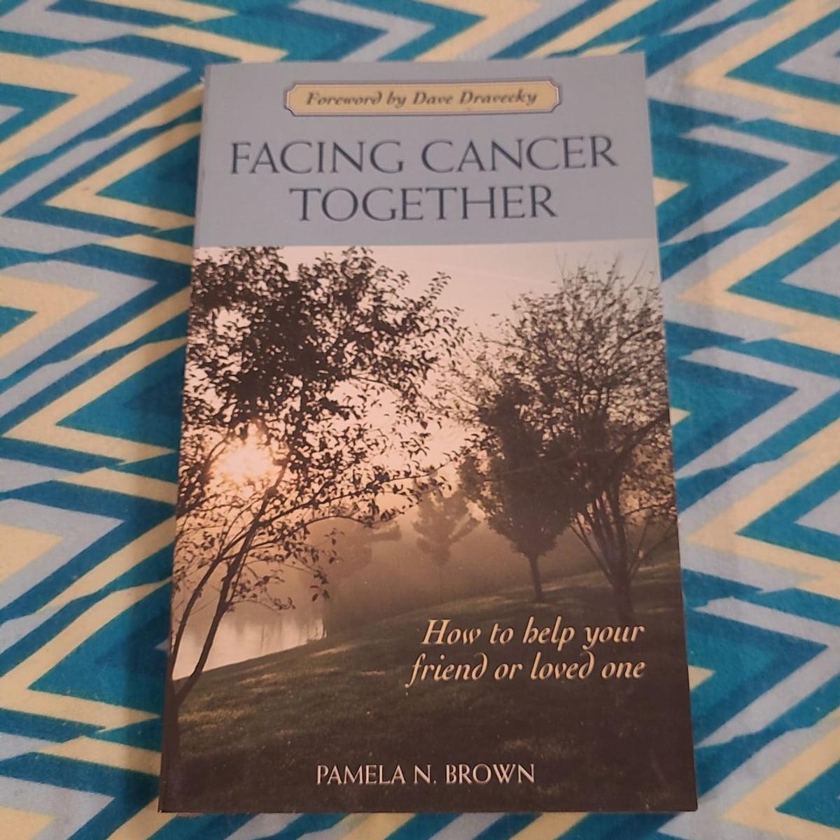 Facing Cancer Together by Pamela N. Brown, Paperback | Pangobooks