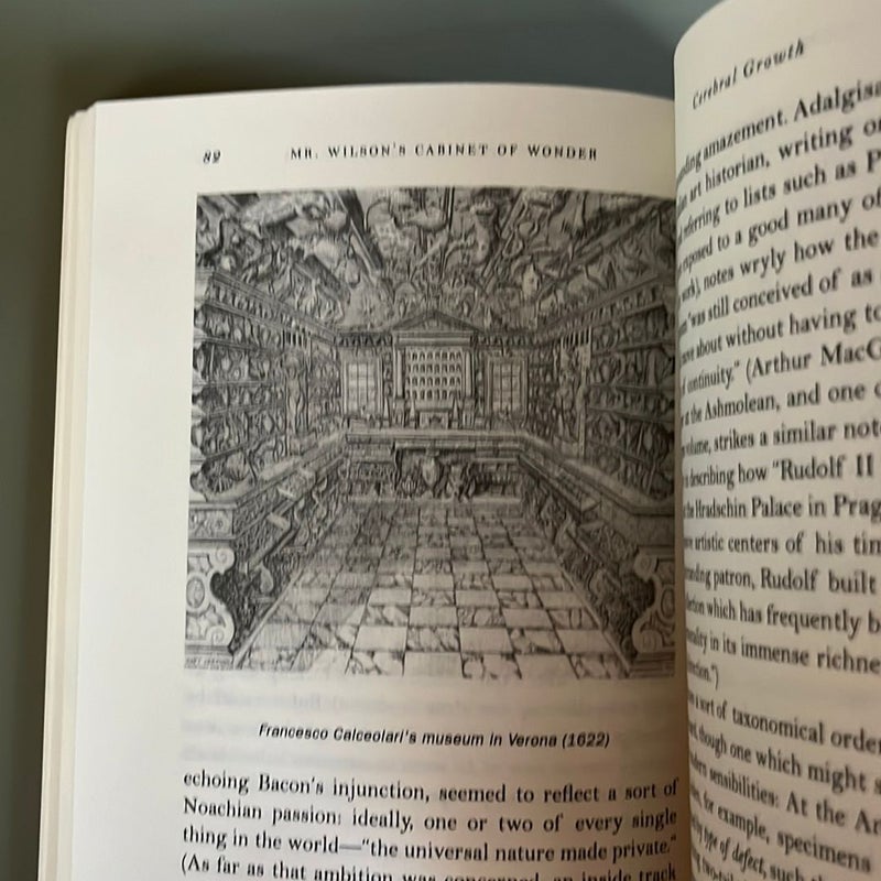 Mr. Wilson's Cabinet of Wonder by Lawrence Weschler, Paperback | Pangobooks