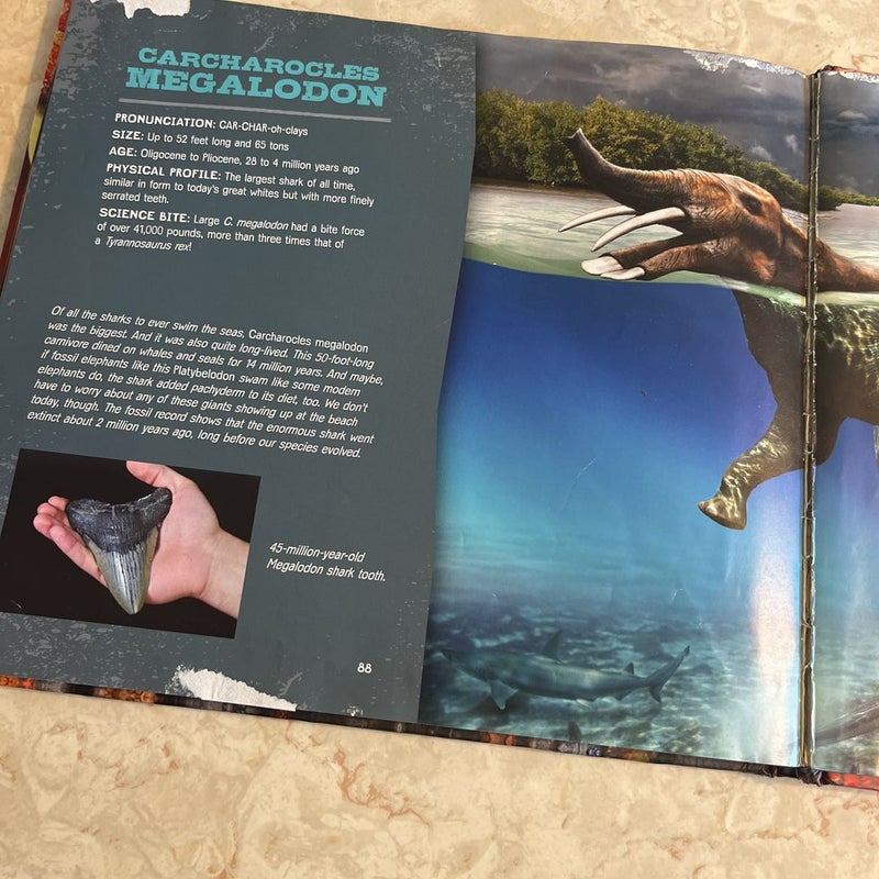 Prehistoric Predators by Brian Switek