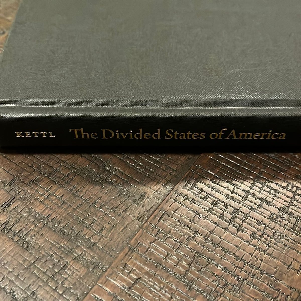 The Divided States of America by Donald F. Kettl