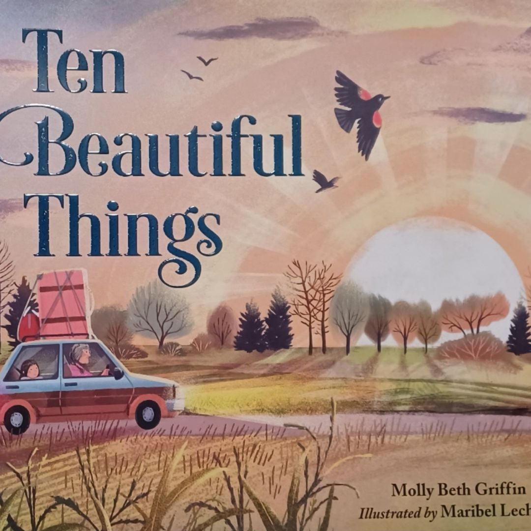Ten Beautiful Things by Molly Griffin