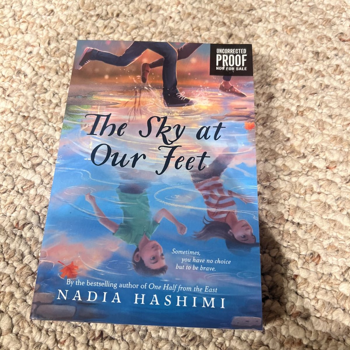 The Sky at Our Feet by Nadia Hashimi