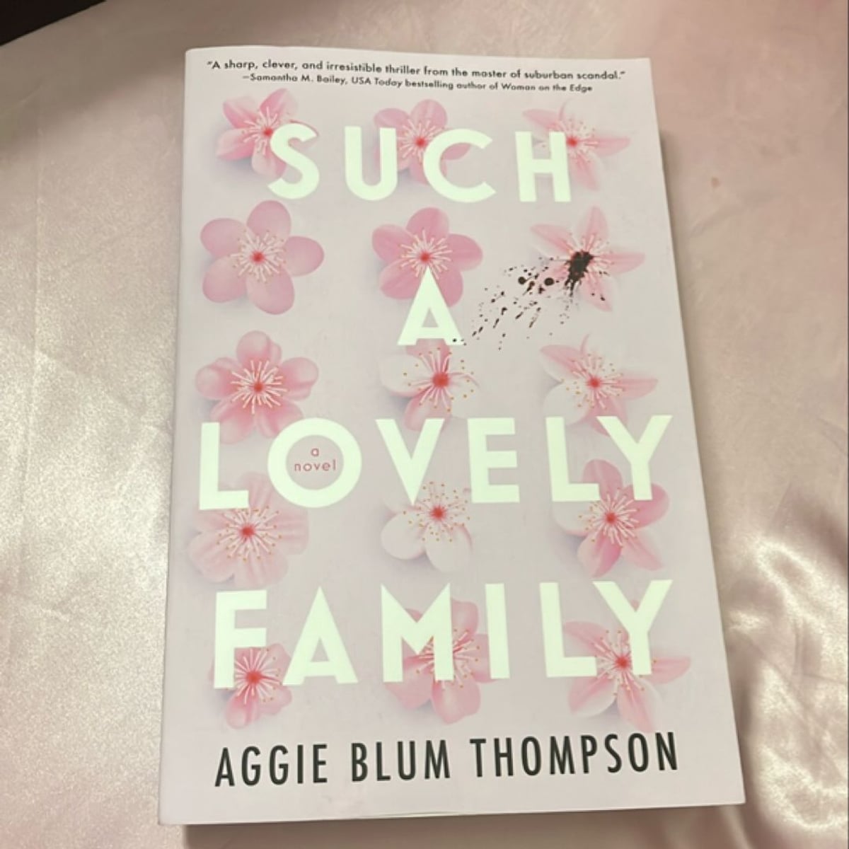 Such a Lovely Family by Aggie Blum Thompson, Paperback | Pangobooks