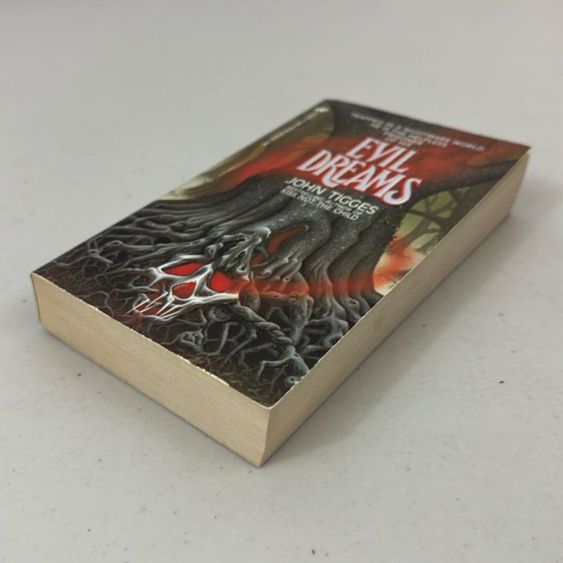 Evil Dreams by John Tigges, Paperback | Pangobooks