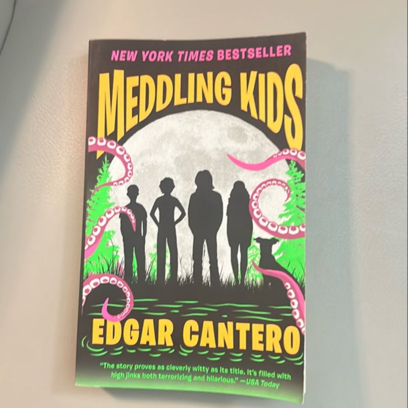 Meddling Kids by Edgar Cantero