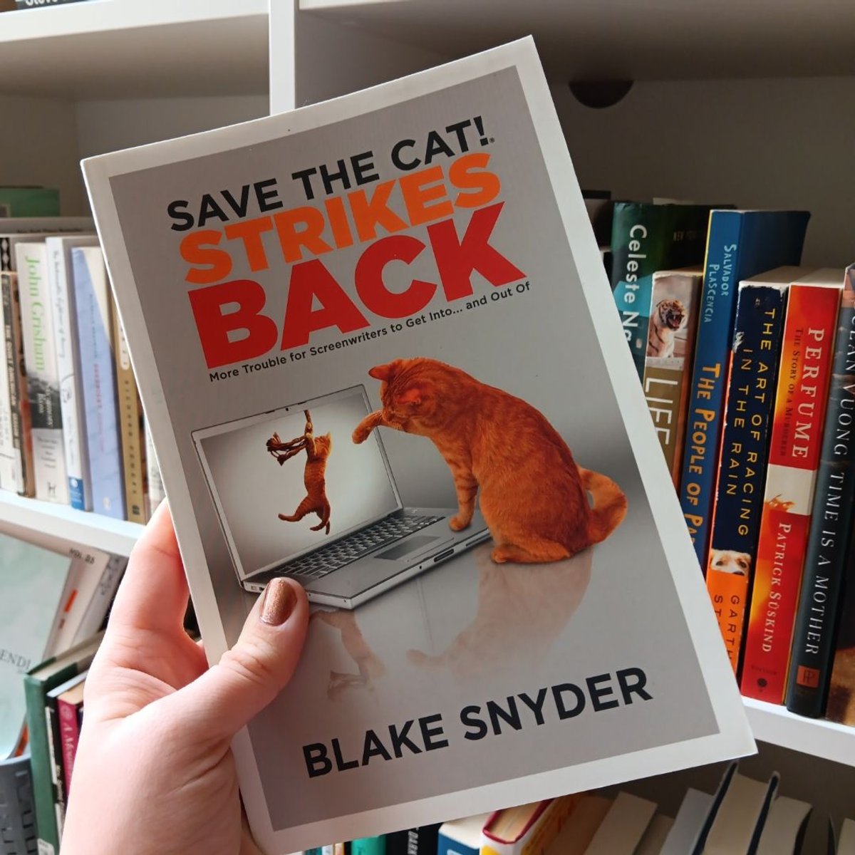 Save the Cat!® Strikes Back by Blake Snyder