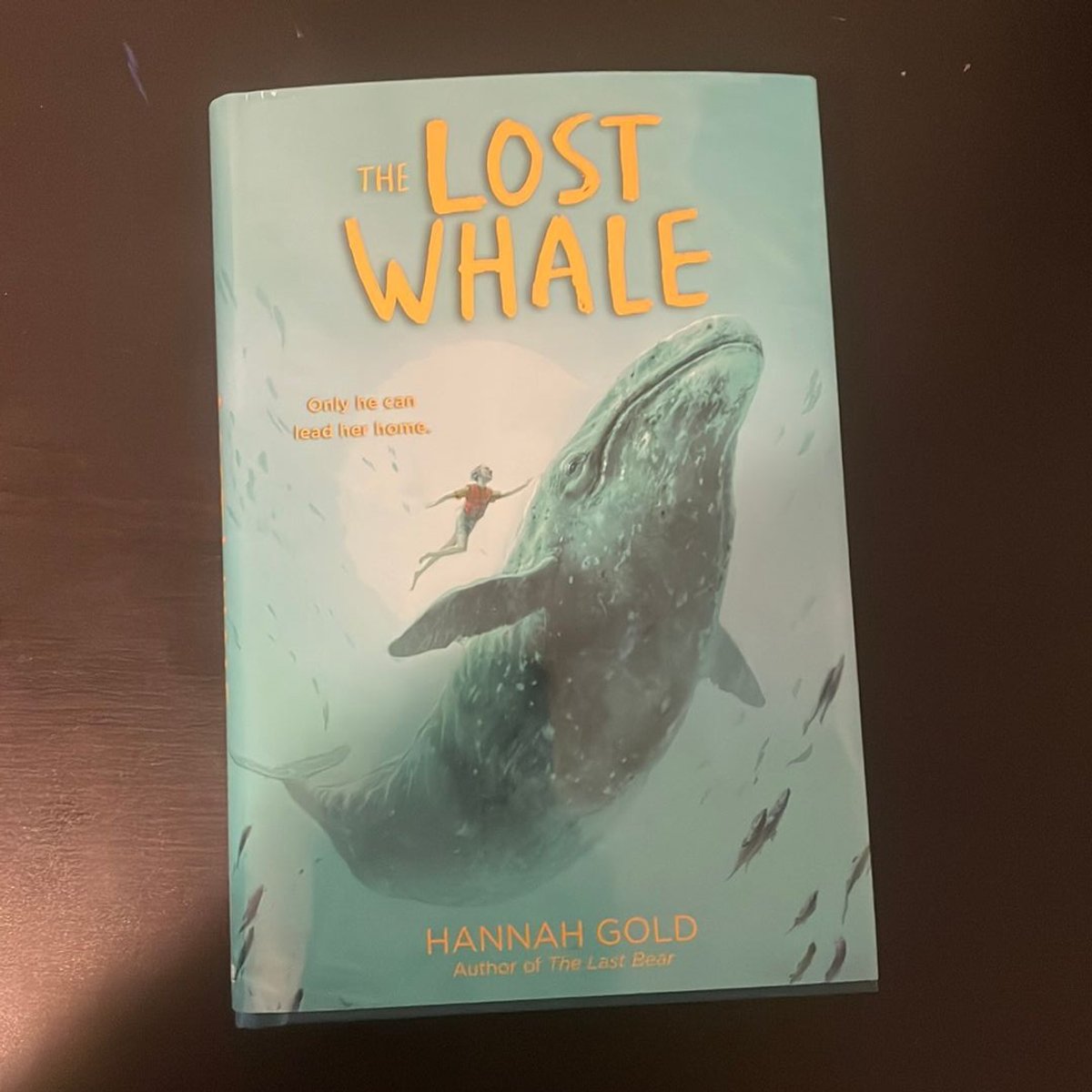 The Lost Whale by Hannah Gold