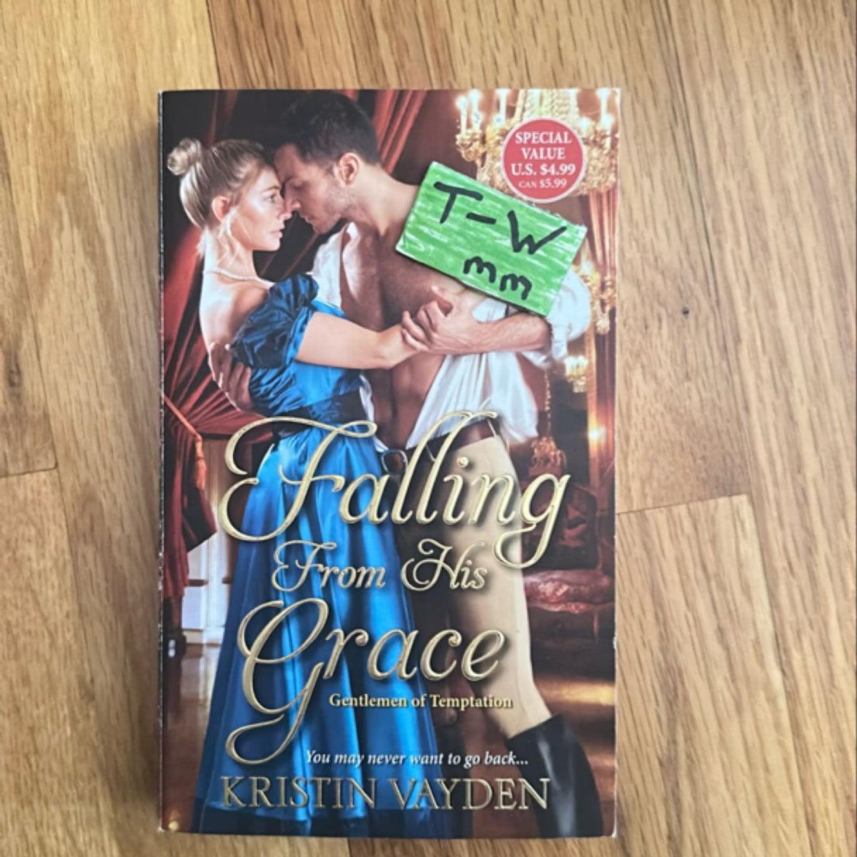 Falling from His Grace by K. Vayden