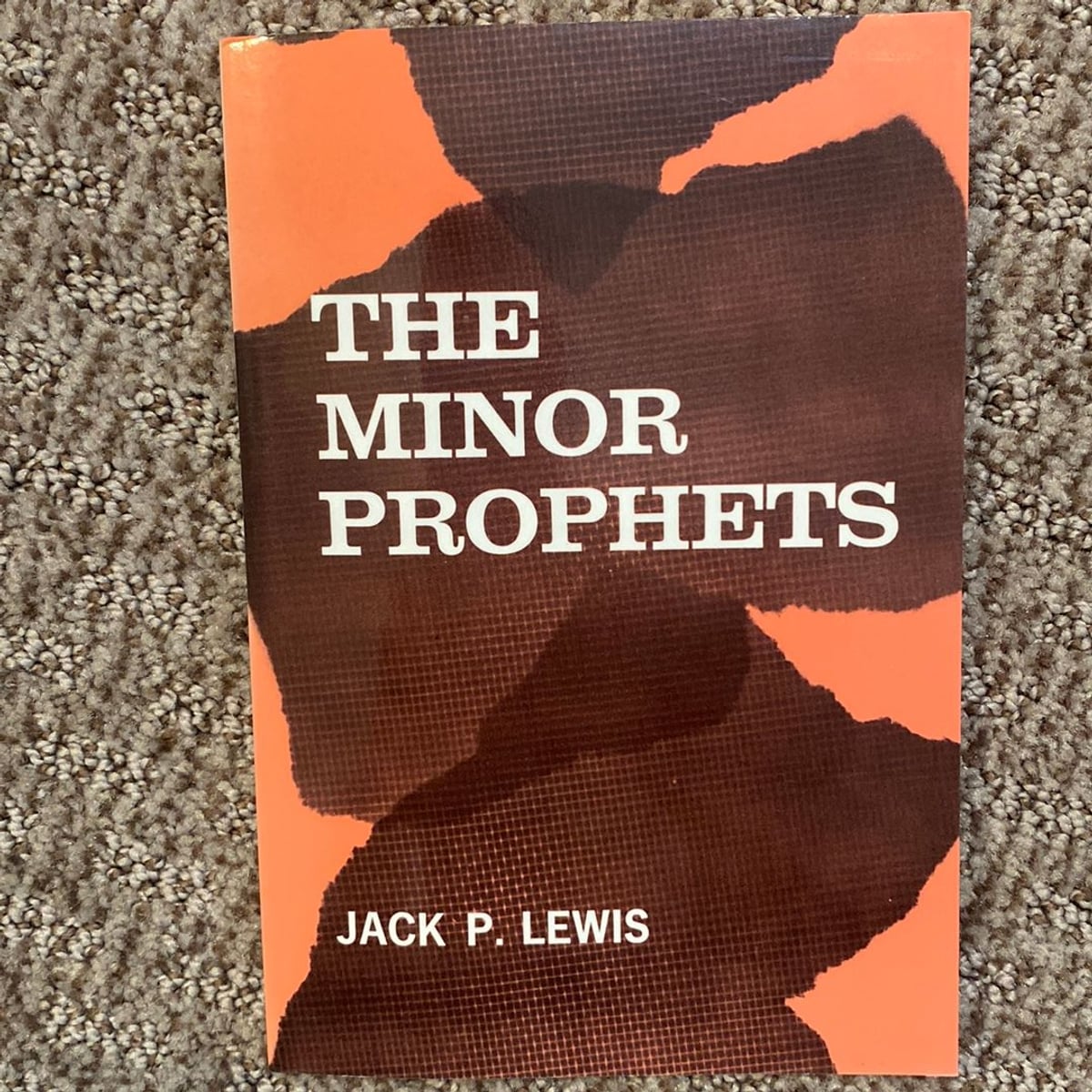 Minor Prophets by Jack P. Lewis