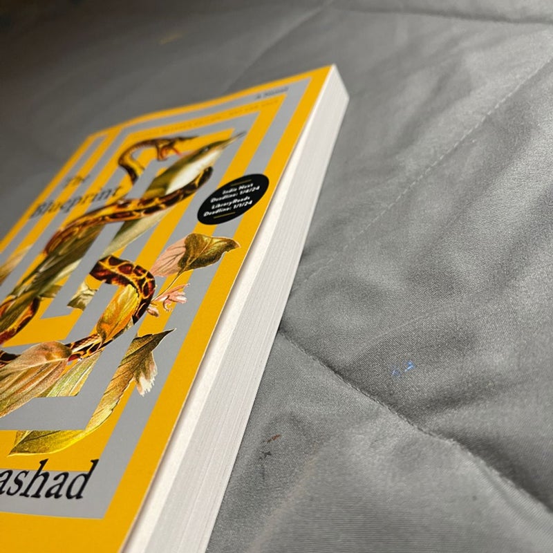 The Blueprint ARC by Rae Giana Rashad, Paperback | Pangobooks