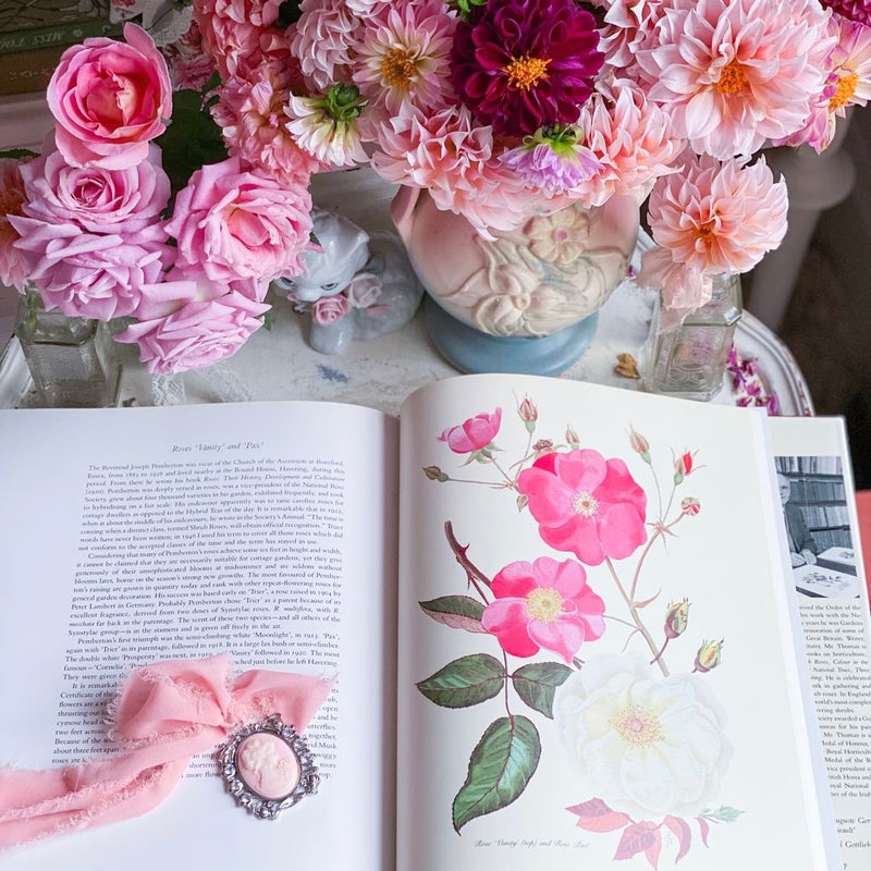 Complete Flower Paintings and Drawings of Graham Stuart Thomas by Graham S. Thomas