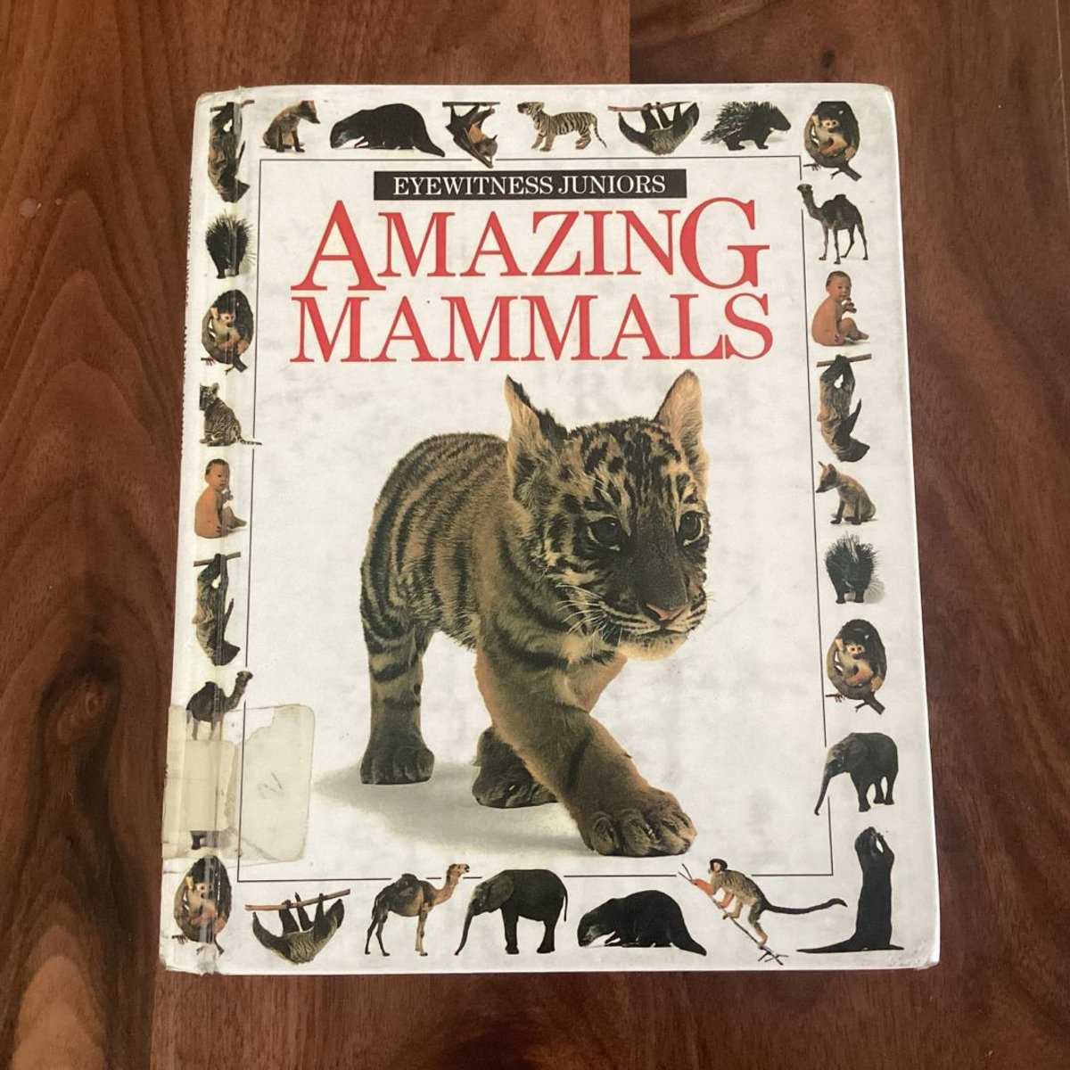 Amazing Mammals by Alexandra Parsons, Jerry Young