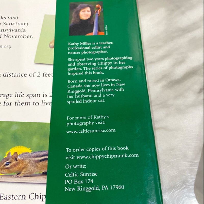 Chippy Chipmunk Parties in the Garden by Kathy M. Miller