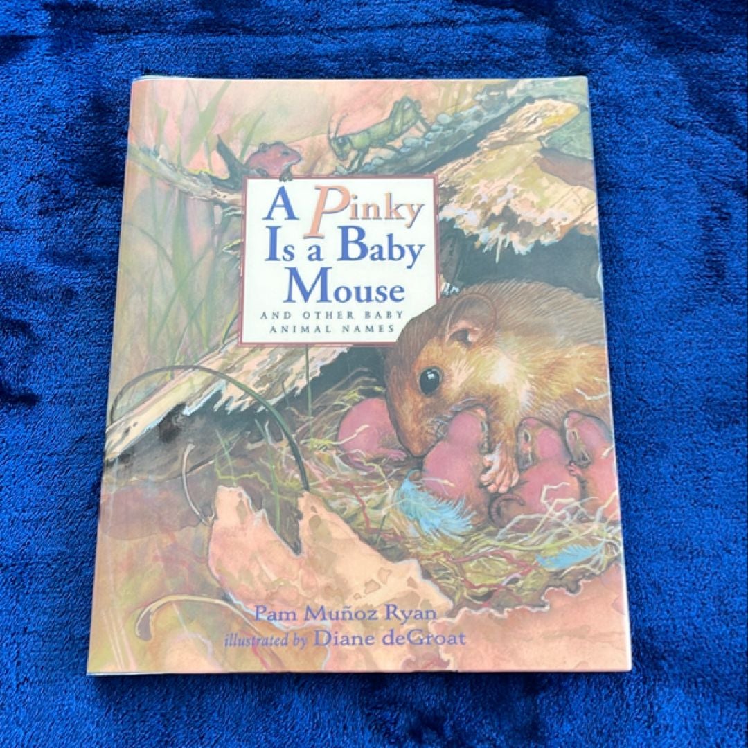 A Pinky Is a Baby Mouse by Pam Muñoz Ryan