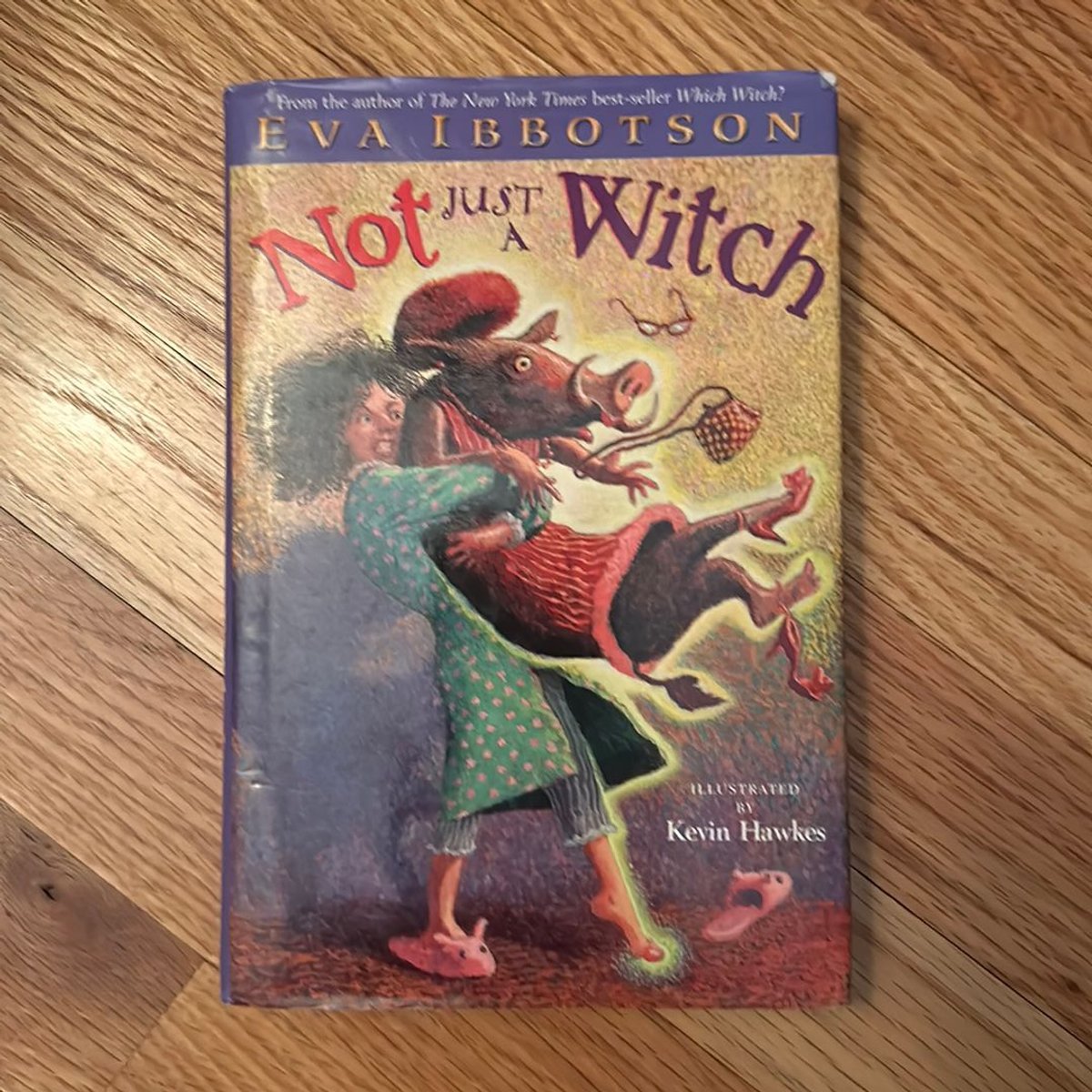 Not Just a Witch by Eva Ibbotson; Kevin Hawkes (Illustrator)