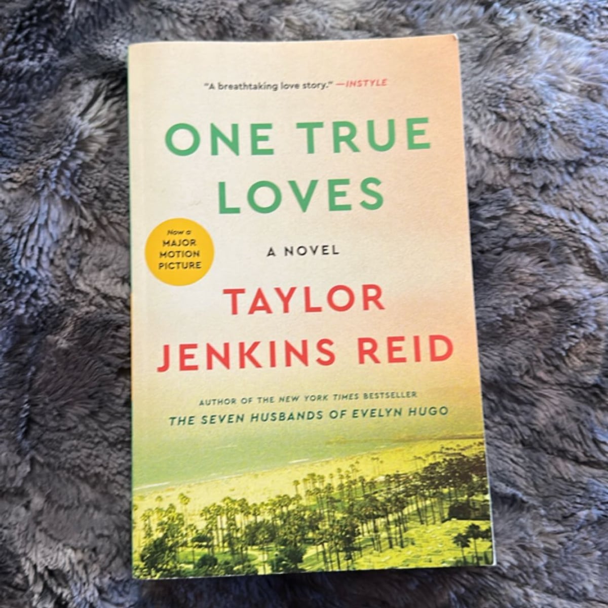 One True Loves by Taylor Jenkins Reid, Paperback | Pangobooks