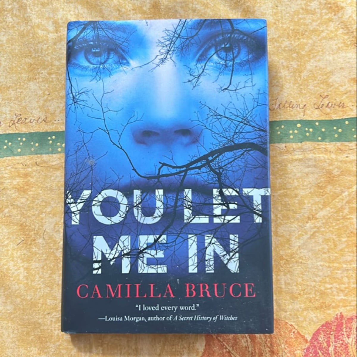 You Let Me In by Camilla Bruce