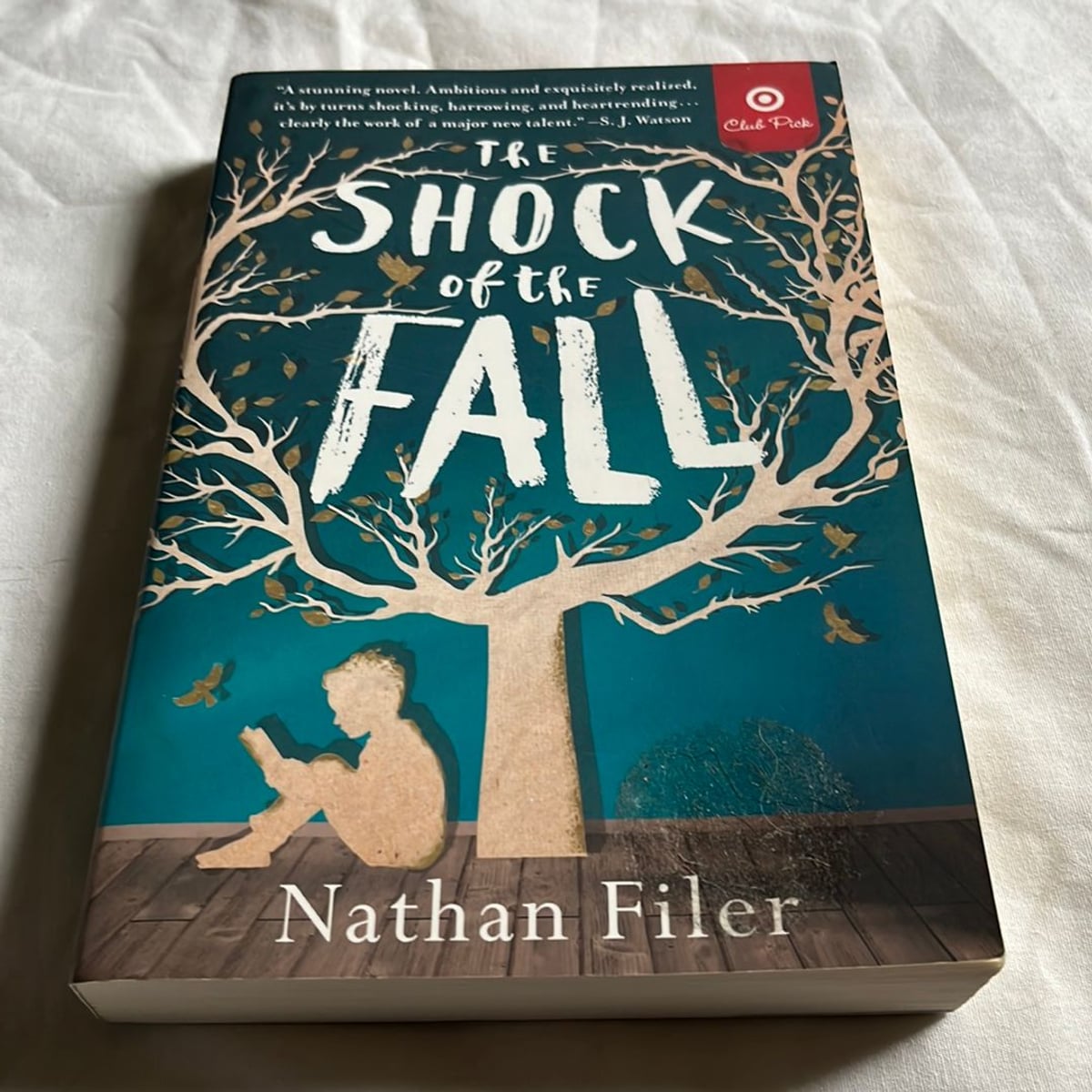 The Shock of the Fall by Nathan Filer