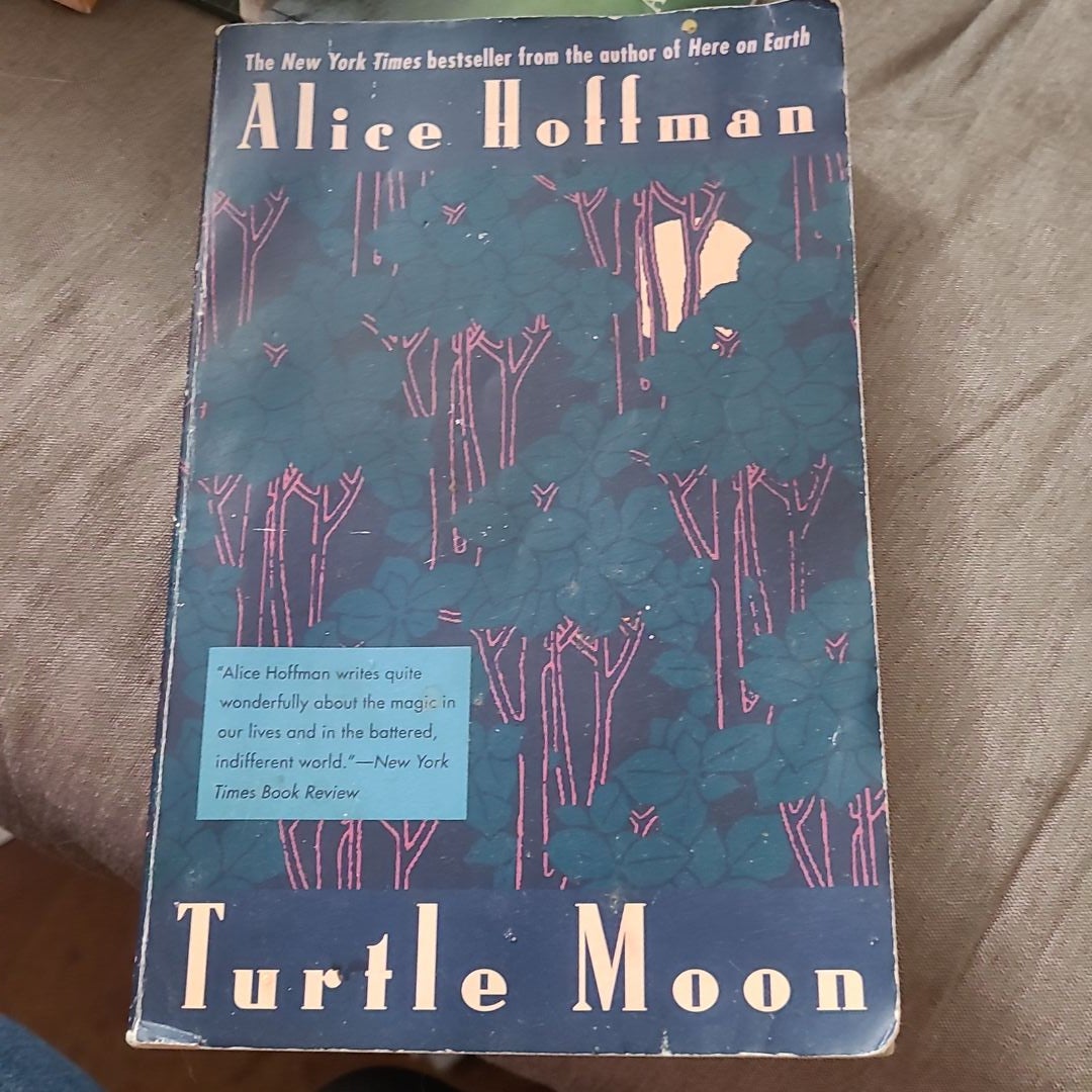 Turtle Moon by Alice Hoffman