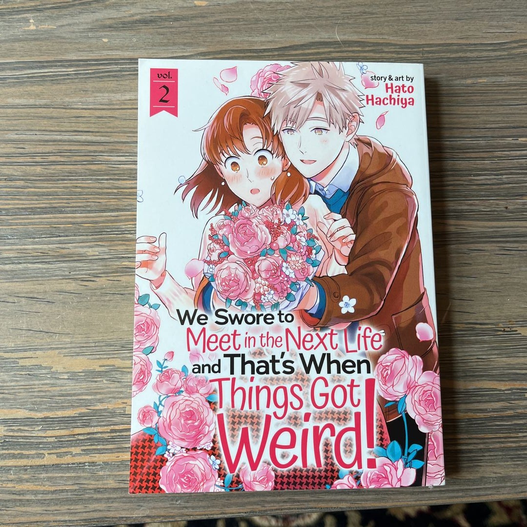 We Swore to Meet in the Next Life and That's When Things Got Weird! Vol. 2 by Hato Hachiya
