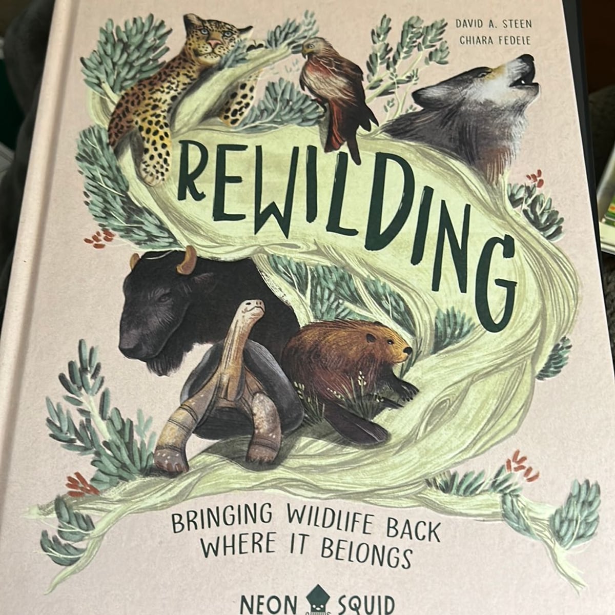 Rewilding by David A. Steen, Hardcover | Pangobooks