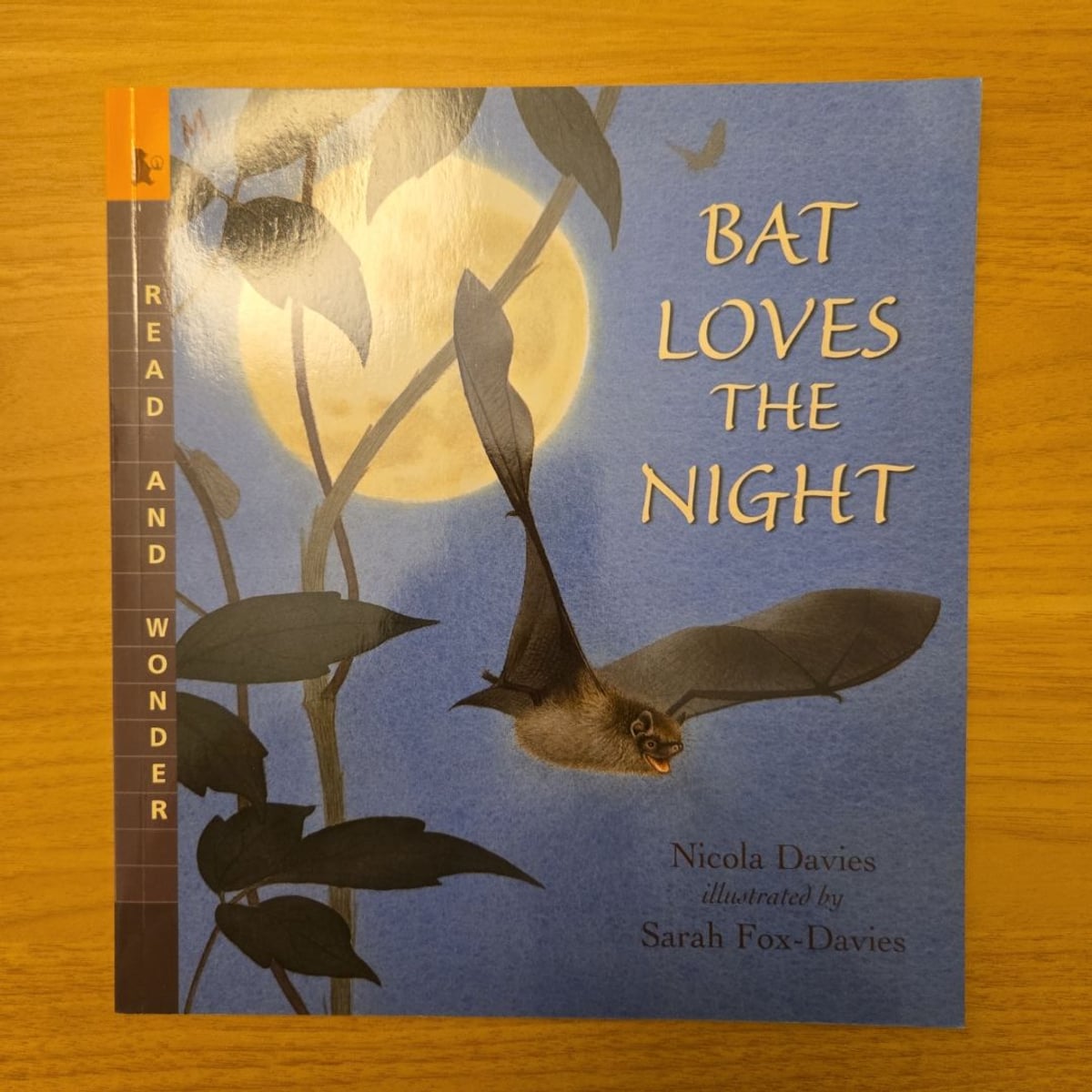 Bat Loves the Night by Nicola Davies