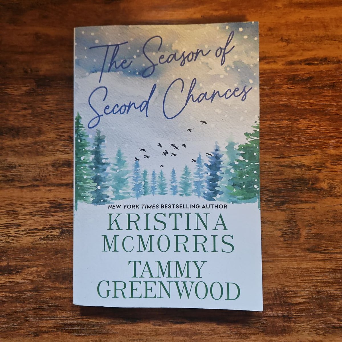 The Season of Second Chances by Tammy Greenwood, Paperback | Pangobooks