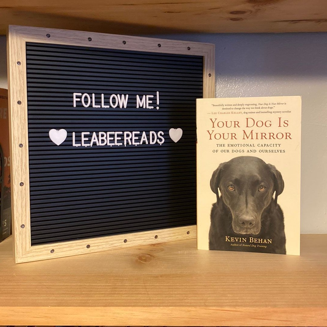 Your Dog Is Your Mirror by Kevin Behan