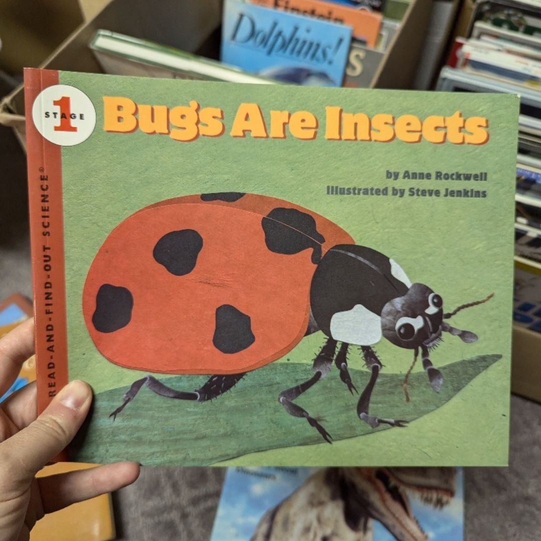 Bugs Are Insects by Anne Rockwell