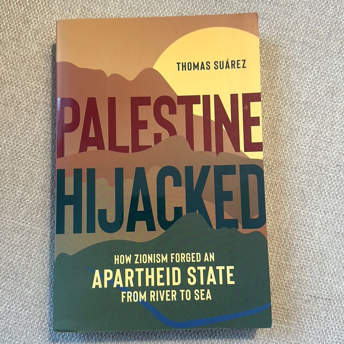 Palestine Hijacked by Thomas Suárez