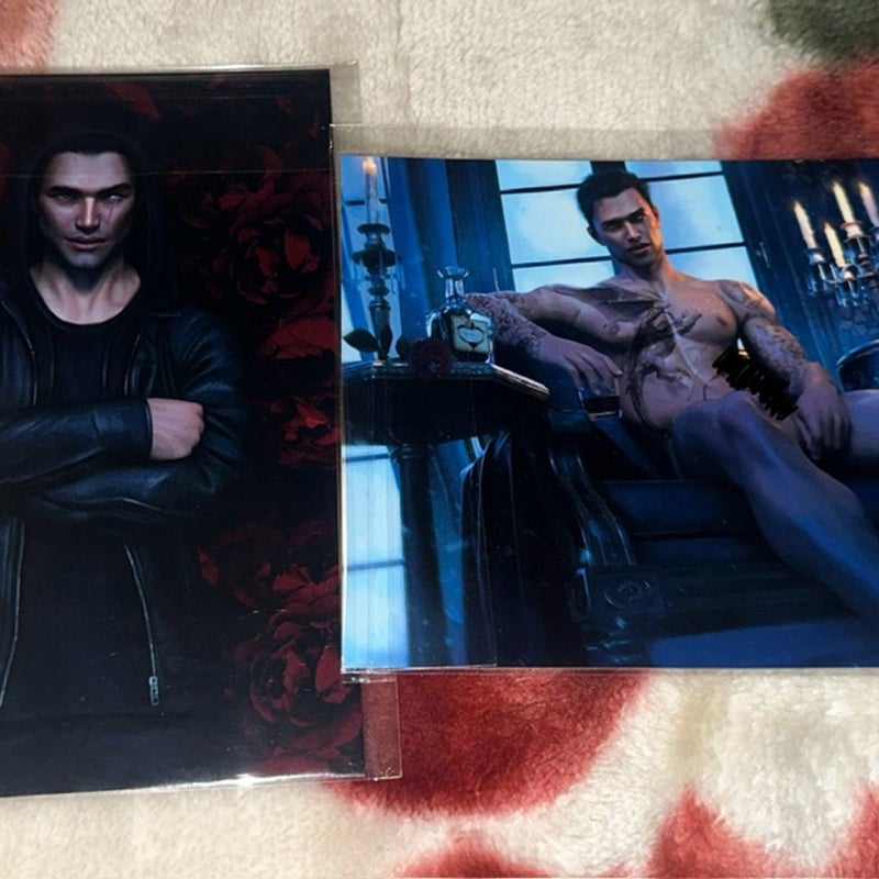 Cat & Mouse Duet Omnibus by H.D. Carlton, Hardcover | Pangobooks